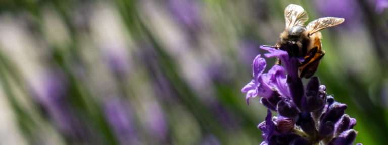 Photographer of the Month - Daryl Meredith | Frames Express Blog