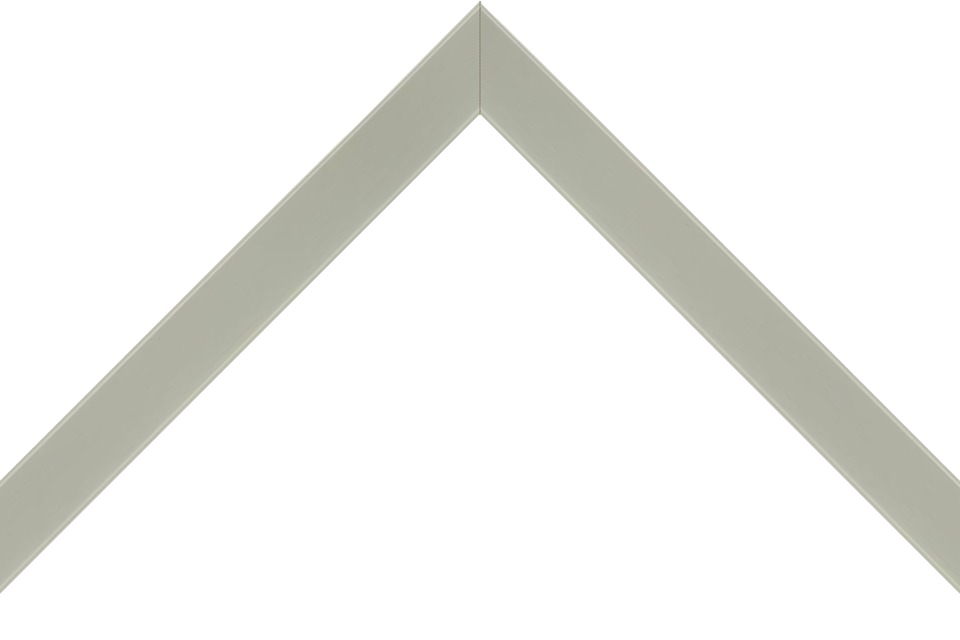 Contemporary & Antique Look Silver Frames | Frames Express