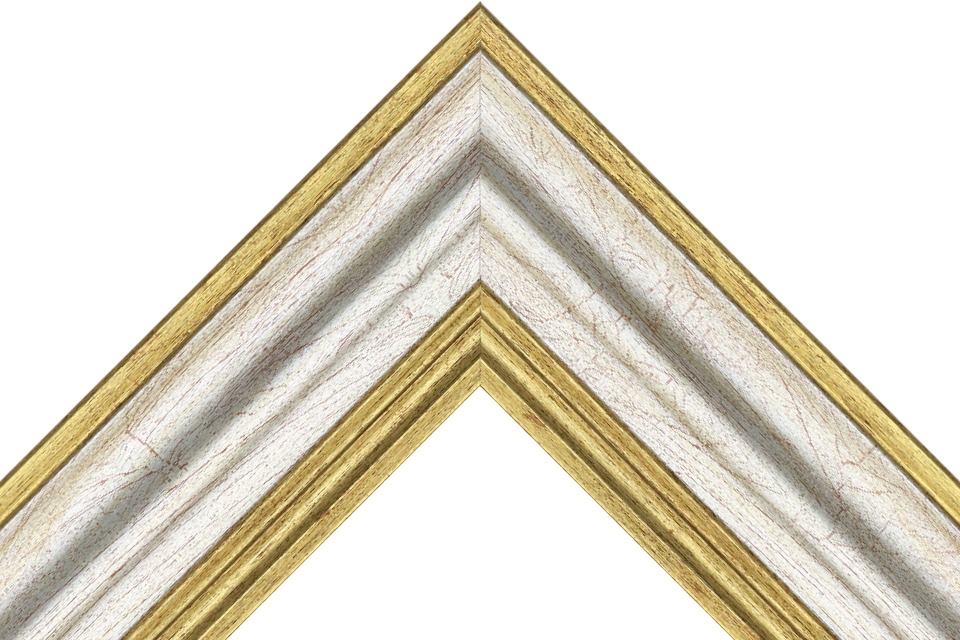 Gold, Antique & Modern Frames | Frames Express