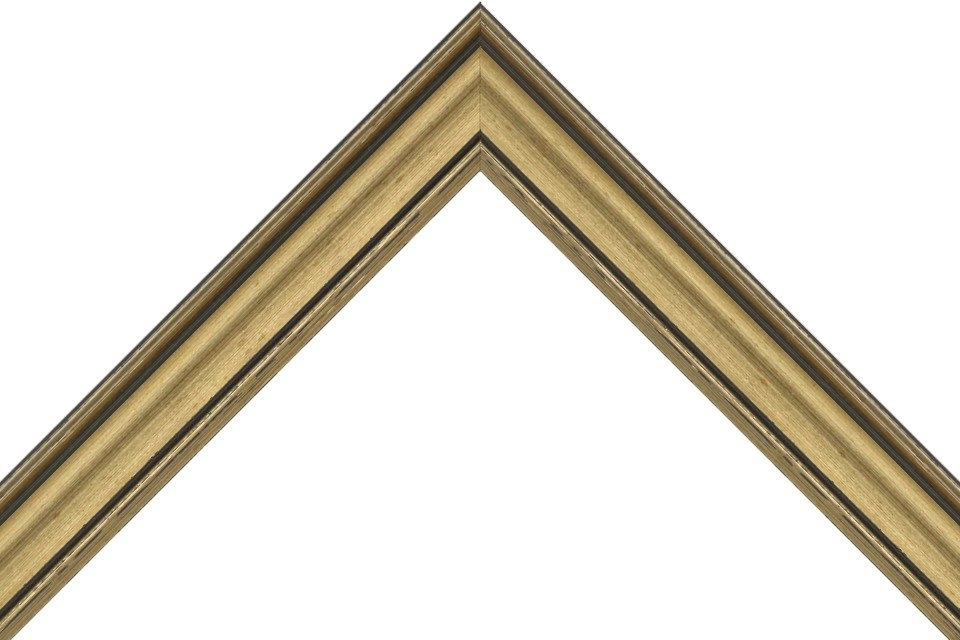 Gold, Antique & Modern Frames | Frames Express